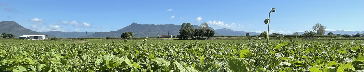 Our Staff - Di Bella Produce and Farming