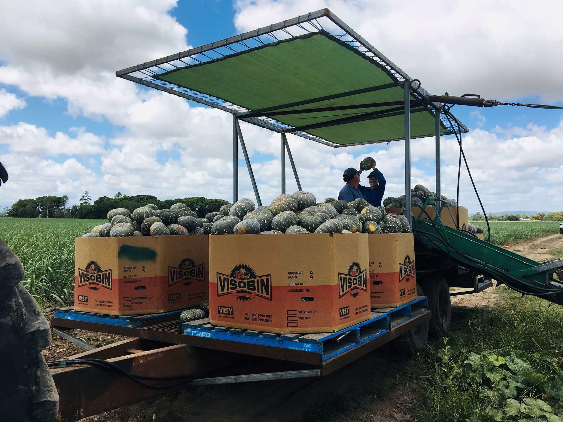 The Di Bella Farming Story - Di Bella Produce and Farming